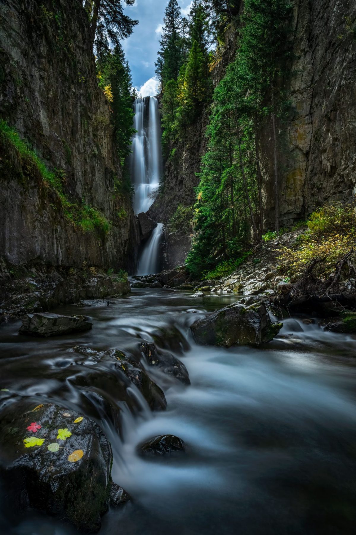 What is a "Fake" Photo? - Wilderness Exclusives Fine Art Photography