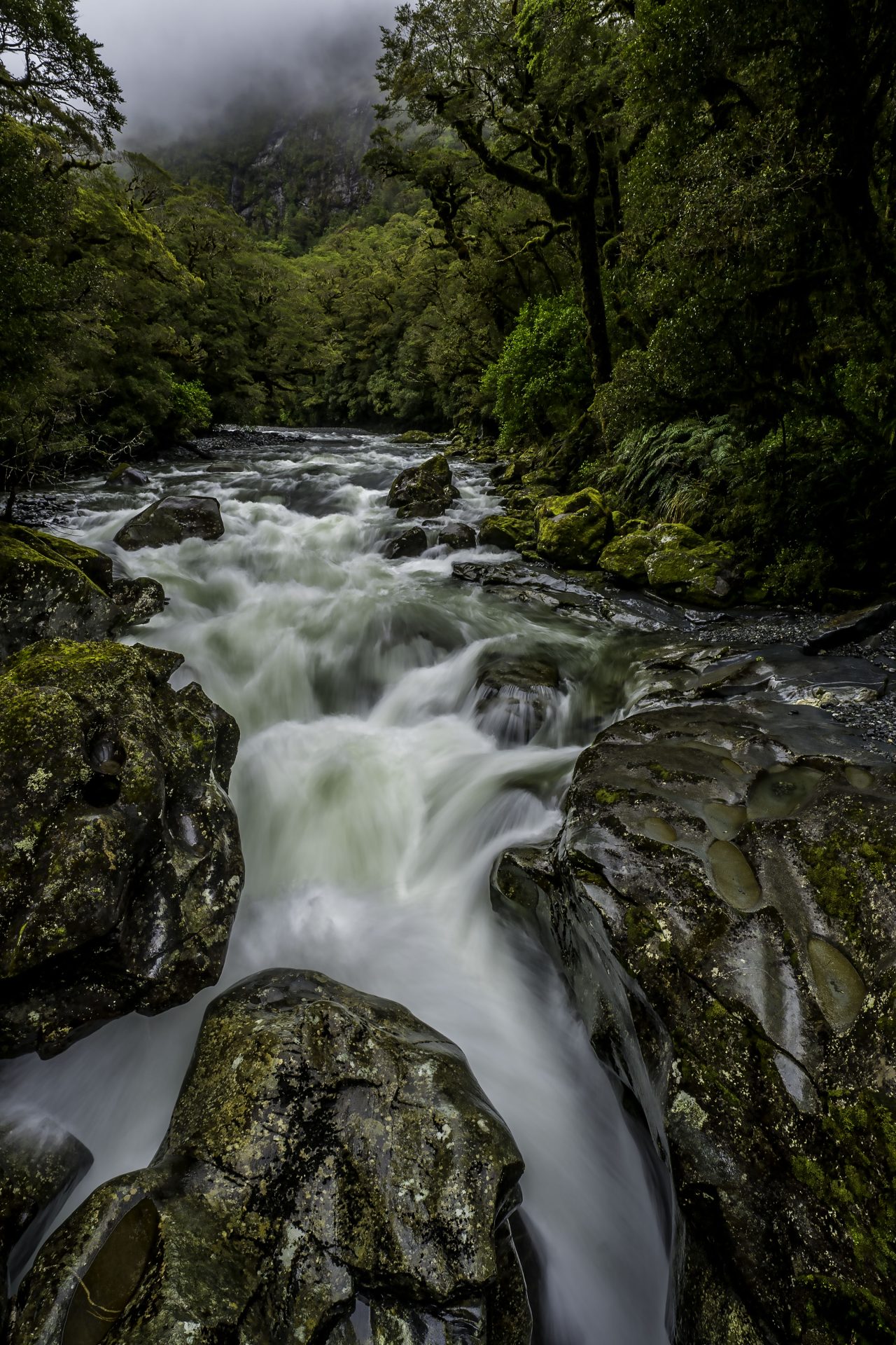 Collections - Wilderness Exclusives Fine Art Photography